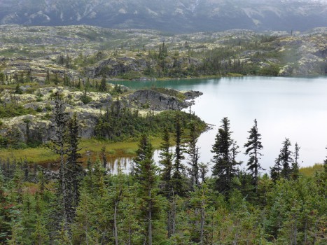 Schnee in Whitehorse am Yukon - Gabriela auf Reisen - Reiseblog und ...